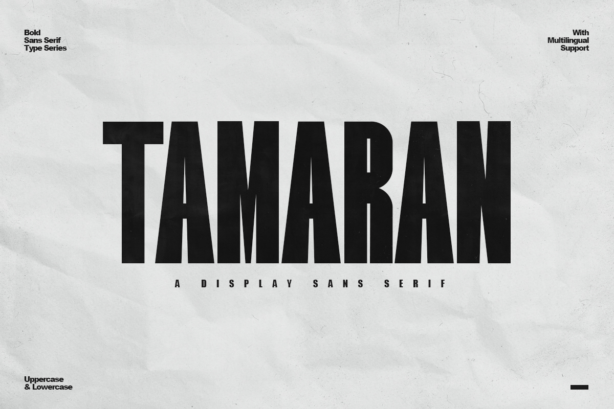 Tamaran by golibtamami | GraphicRiver